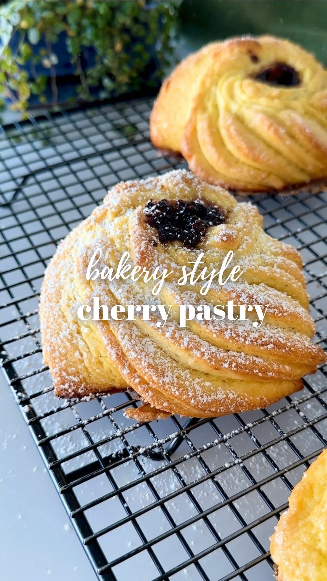 chocolate madeleines - Back Porch Paleo paleo baking